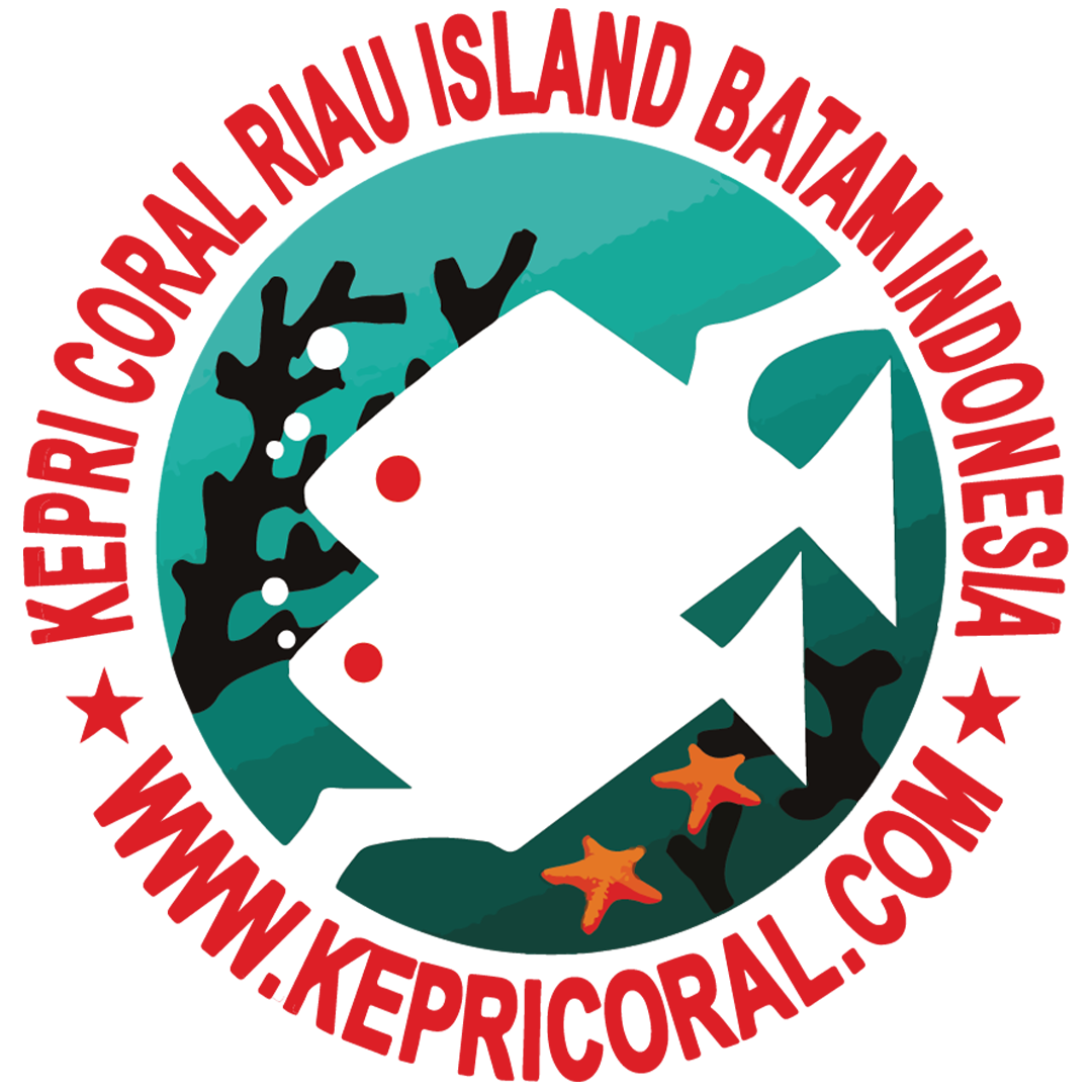 Kepri Coral Island Resort | Tropical Getaway in Batam, Indonesia